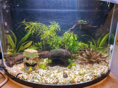 What Nutrient Substrate Brand Do You Recommend Raquariums