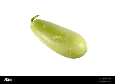Lagenaria Siceraria Bottle Gourd Isolated On White Background Top View