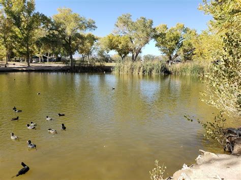 Best 5 Things In Floyd Lamb Park Las Vegas