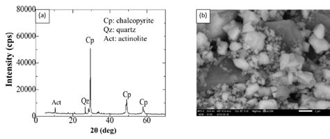 Chalcopyrite Sample A Xrd Patterns And B Sem Image Download