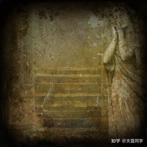 那些有温度的句子 知乎