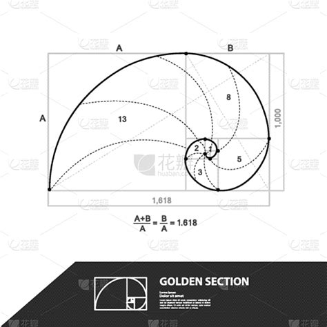 绘画插图黄金分割矢量创造力螺线部分几何形状比例平衡加利福尼亚