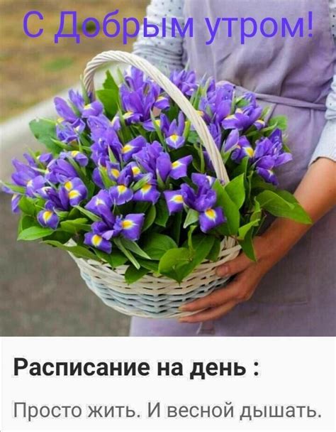 Create Meme Bouquet Of Irises Bouquet With Irises Iris Flower Bouquet Pictures Meme