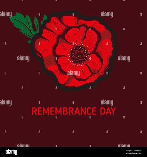 Remembrance Poppy And Lest We Forget The Concept Banner Vector