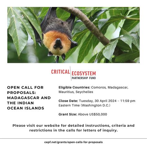 Cepf Is Currently Critical Ecosystem Partnership Fund