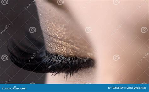 Close Up Of Beautiful Female Eye With Long Black Lashes Action Stock
