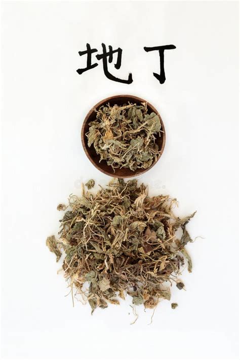 Herbe Chinoise De Gentiane Image Stock Image Du Nourrir 149728799
