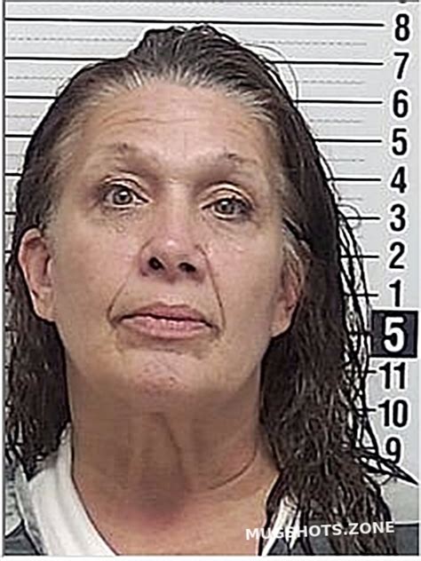 Woodside Sandra Danelle 07 29 2023 Bay County Mugshots Zone