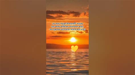 বিঃদ্রঃ গান টা যেনো পদ্মজা উপন্যাস এর জন্যই সৃষ্টি হয়েছিল 💛 ️ আমিপদ্মজা পদ্মজা আমি