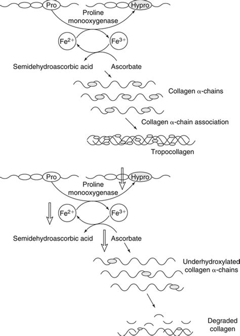 Structure Nomenclature And Properties Of Proteins And Amino Acids