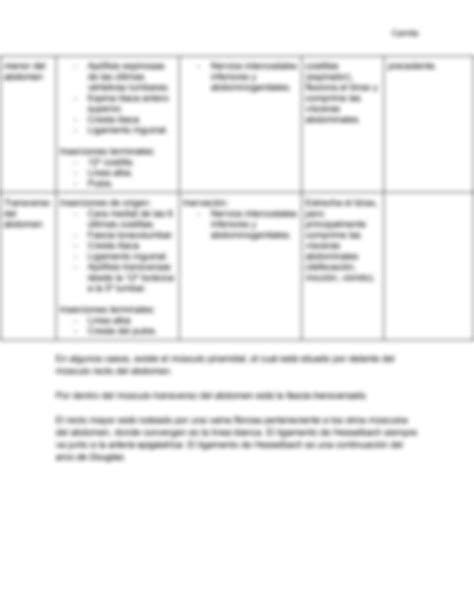 SOLUTION Anatom A De Las Paredes Del Abdomen Studypool