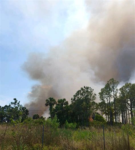 Update 650 Acre Brush Fire In South Brevard 100 Percent Contained I