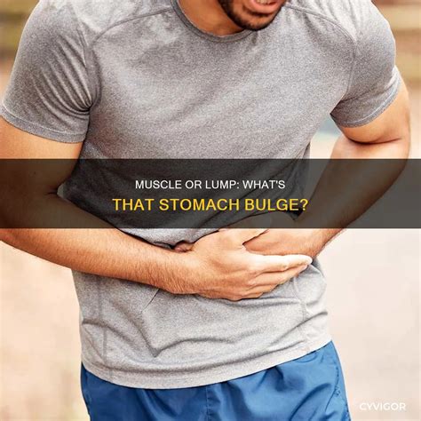 Muscle Or Lump Whats That Stomach Bulge Cyvigor
