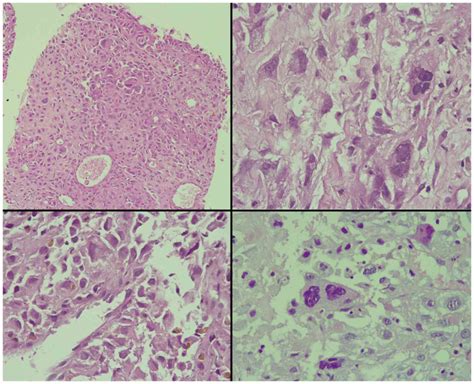 Medicine International