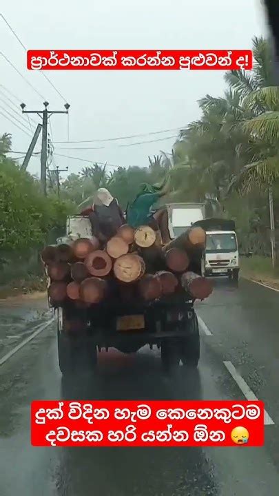 දුක් විදින හැම කෙනෙකුටම දවසක හරියන්න ඕන 😪 Youtube