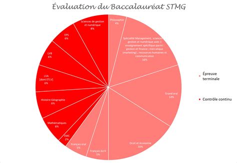 Série Stmg Lycée Renée Cassin