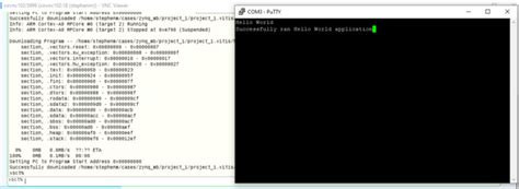Debug Problems On Zynq7000 Microblaze Executed From Ps Ddr