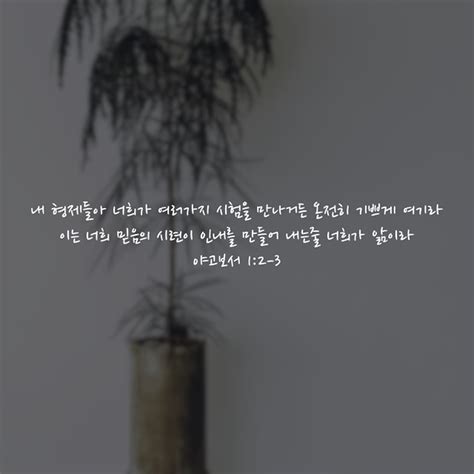 야고보서12 3 “내 형제들아 너희가 여러가지 시험을 만나거든 온전히 기쁘게 여기라 이는 너희 믿음의 시련이 인내를 만들어
