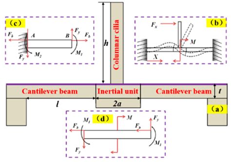 Design And Implementation Of A Four Unit Array Piezoelectric Bionic Mems Vector Hydrophone