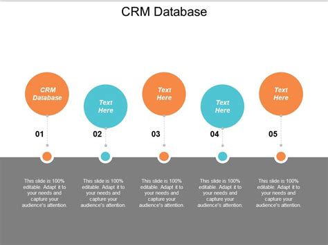 Crm Database Ppt Powerpoint Presentation Summary Portfolio Cpb