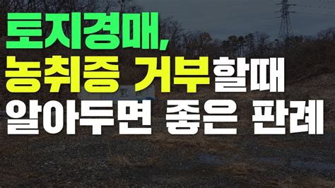 네이버 인플루언서