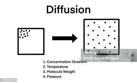 The Process Of Diffusion Particles Move Stock Illustration Download Image Now Balance