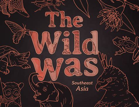 Building An Open Source Home Automation System Indiegogo