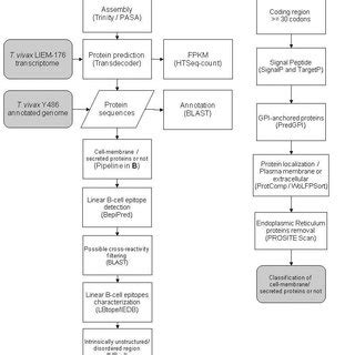 Bioinformatics Workflow A Complete Pipeline From RNA Seq Assembly To Download Scientific