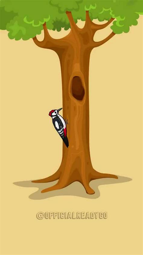 Peck Regret Repeat Album On Imgur