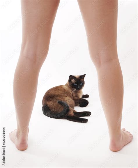 Cat Laying Between A Woman S Naked Legs On White Background Stock Photo Adobe Stock