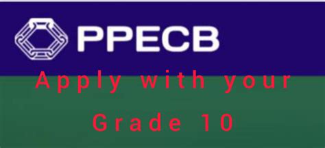 Cleaner Position At Ppecb Careerjobs24