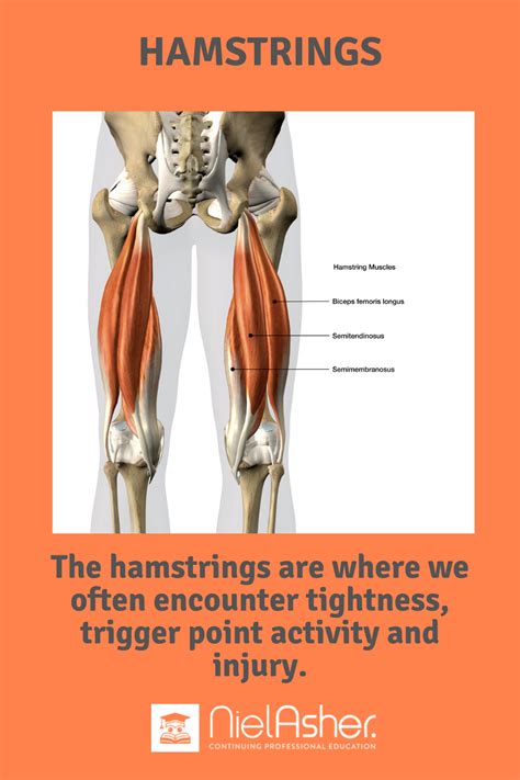 Pin On Hip And Thigh Pain Treatment