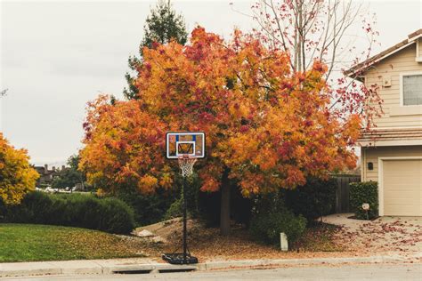 Roof Maintenance Tips For Fall Preparing Your Roof For The Colder