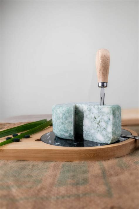 Queso tierno de cabra con espirulina Cal Quitèria