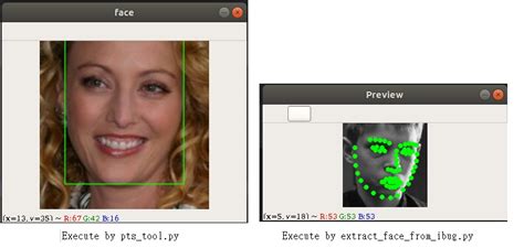 Github Faust690226 Cnn Facial Landmark Tutorial The Tutorial For Cnn Facial Landmark