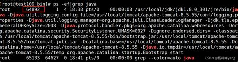 Linux安装tomcat无法启动的解决方案 linux tomcat无法启动 CSDN博客