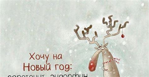 С наступающим НГ 2024г Пикабу