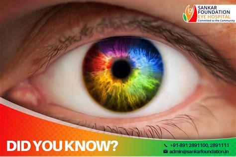 About 2 Of Women Have A Rare Genetic Mutation Of An Extra Retinal