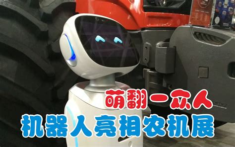 Bilibili B Yiuios