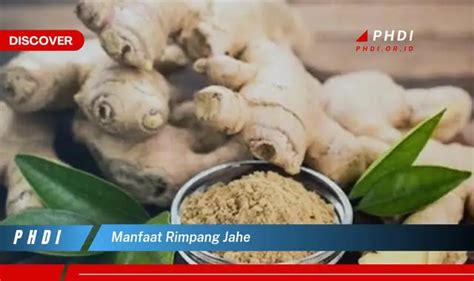 Temukan 7 Manfaat Rimpang Jahe Yang Bikin Kamu Penasaran