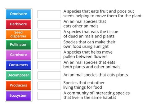 Ecosystems Match Up
