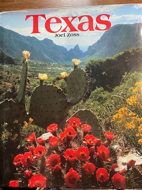 Texas Picture Guide Joel Zoss 1986 History Historic Sites