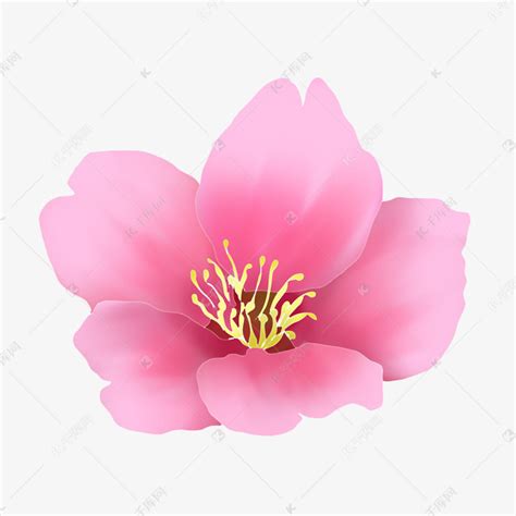 春天桃花开手绘插画素材图片免费下载 高清psd 千库网 图片编号11845811