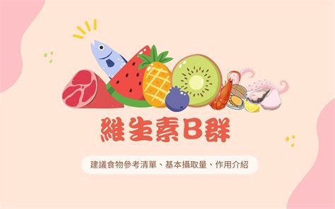 維生素 B 群建議食物參考清單、基本攝取量、作用介紹 我的自由人生