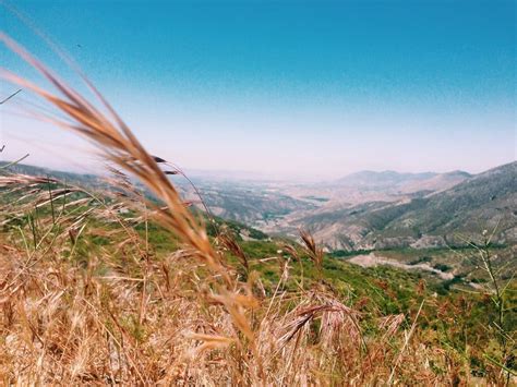 How To Develop A Gan To Generate Cifar10 Small Color Photographs