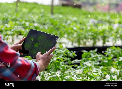IoT Internet Of Things Modern Agriculture Smart Farming System Concept