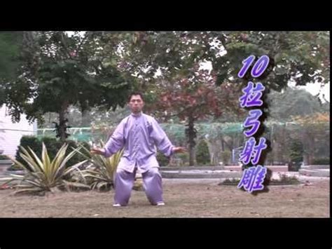 正面 太極氣功十八式第二套 太極 太極拳 正面