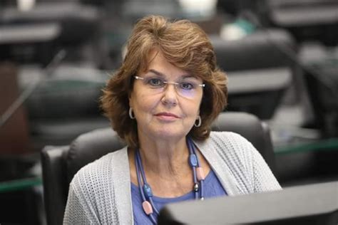 Procuradoria Da Mulher Contabiliza Trabalhos Do Legislativo Em Prol Das Paranaenses Rede Clima