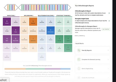 Clifton Strengths Developing Leaders