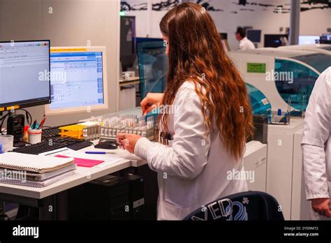 Medical Analysis Laboratory Biomedical Analysis Technicians Medical